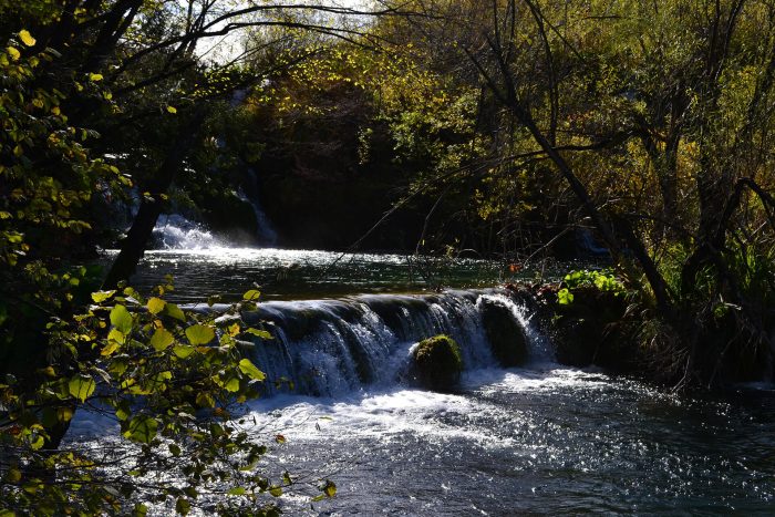 Biotope Environnement - Biotope Environnement